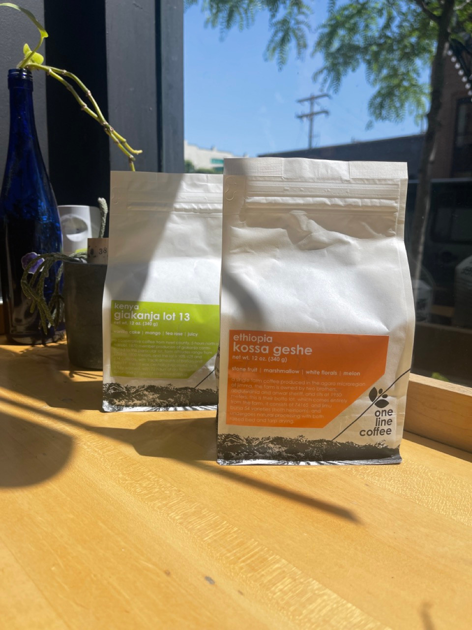 Coffee Subscription-Light Roast FREE SHIPPING - One Line Coffee